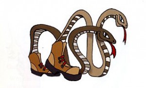 Two Legged Snakes – explaining manipulative people with outrageous ...