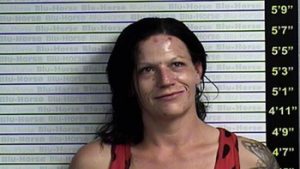 Kelly Cochran, possible serial killer, awaits trial in Michigan ...